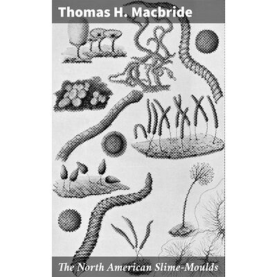 The North American Slime-Moulds